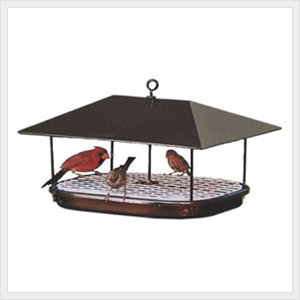 The Duncraft Platform Bird Feeder Is An All Weather Conditions Feeder ...